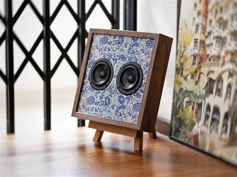 Art Frame Speaker Kucing Singapura