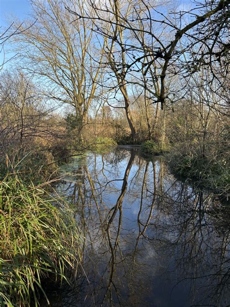 Tracy Turtle On Linkedin Trying To Be More Sustainable Or Simplify