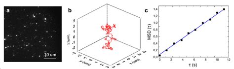 Steps To Extract The Diffusion Constant Of Single Gnrs In Glycerol