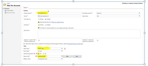 Adding Global Optionset And Mapping It To Entities Ms Crm Dynamics