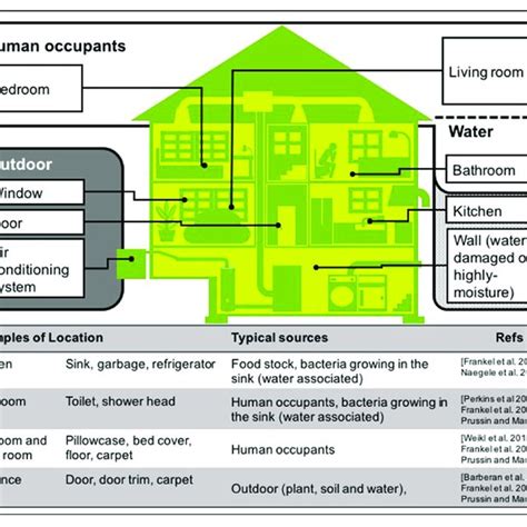 Typical Sources Of Airborne Bacteria In A House Three Sources Are Download Scientific