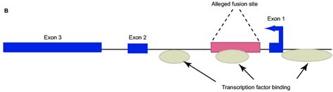 A Ucsc Genome Browser Data Showing Selected Gene Annotation And Download Scientific Diagram