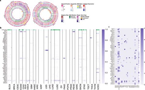Mutation Rate And Somatic Mutations Enriched In Specific Colclusters A