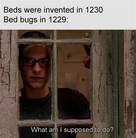 They Cant Even Swing If They Get Bored Scrolller