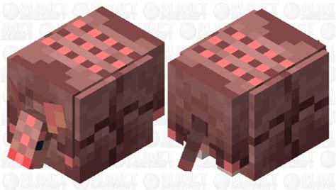 Cute Armadillo Minecraft Mob Skin