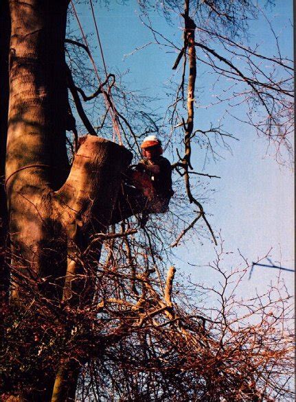 Gallery Frontier Forestry Gallery Frontier Forestry