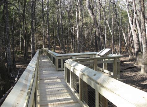 The Terrifying Case Of Gary Michael Hilton The National Forest Serial Killer Part 2 Cheryl