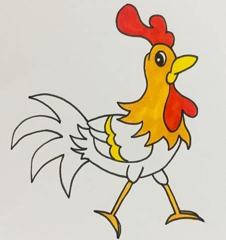 大公鸡简笔画画法步骤涂色 毛毛简笔画