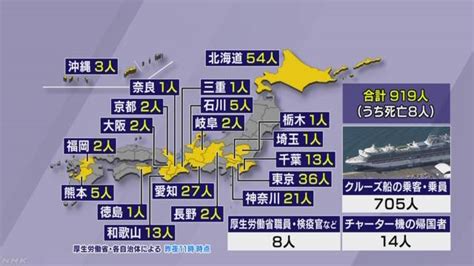 新型コロナウイルス 国内の感染確認919人（クルーズ船含む） Nhkニュース