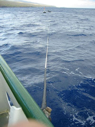 Moby Photo Gallery Marine Optical Buoy Moby