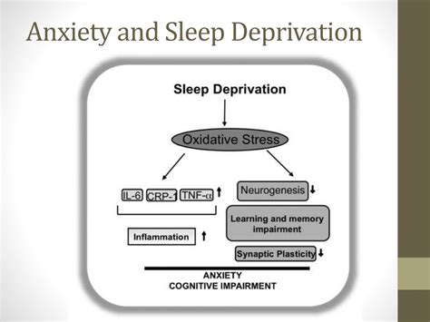 Ppt Sleep Deprivation Exercise And Anxiety Powerpoint Presentation