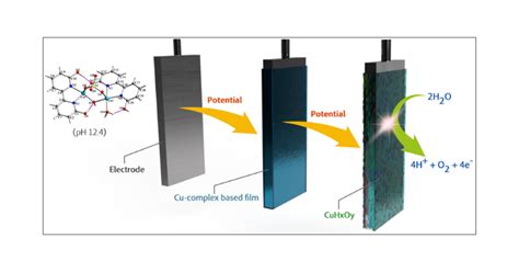 Water Oxidation By A Copperii Complex With 66′ Dihydroxy 22