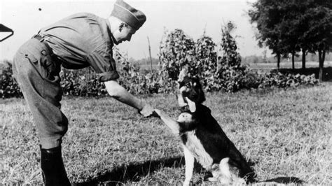 Haunting Look Inside Rare Nazi Photo Album The Advertiser