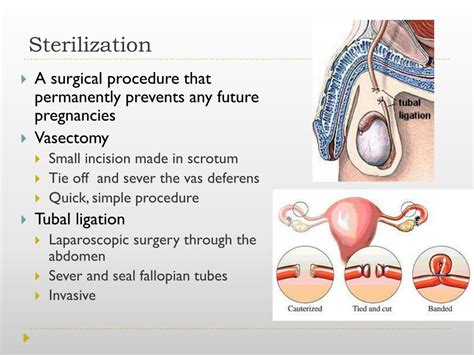 Ppt Sexual Health And Reproductive Choices Powerpoint Presentation Id