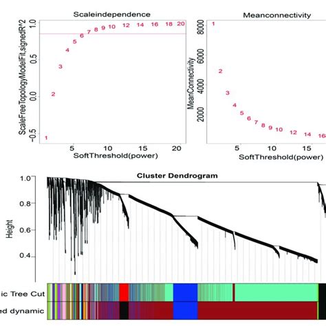 Weighted Gene Co Expression Network Analysis Of The Gene Expression