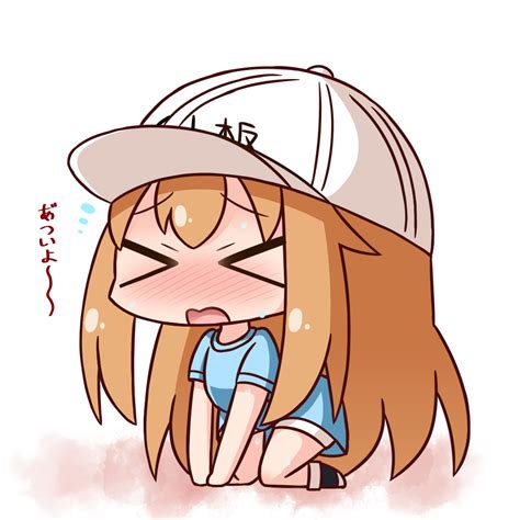 Hataraku Saibou Danbooru