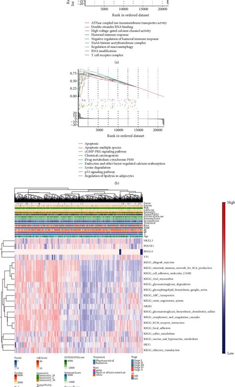 Roles Of The Immune Methylation Autophagy Landscape On Single Cell Genotypes And Stroke Risk In