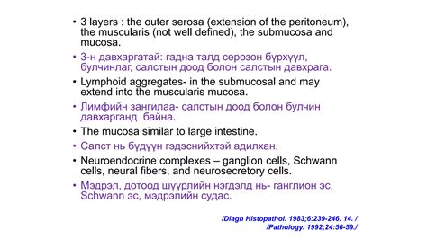 МУХАР ОЛГОЙН ҮРЭВСЭЛ Pptx