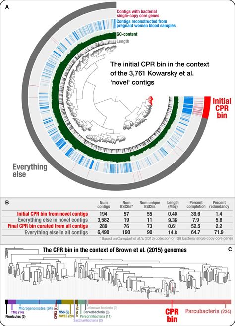 Accurate And Complete Genomes From Metagenomes