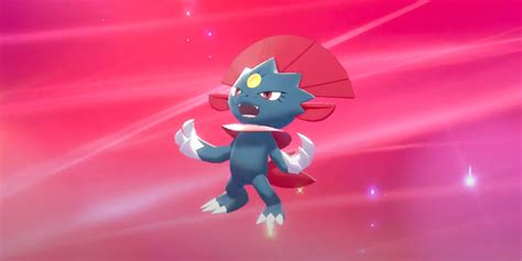 How To Evolve Sneasel Sword Techstory