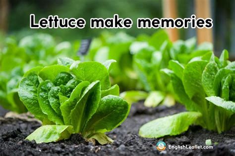 10 Types Of Figurative Language Why Do Authors Use Figurative Language Englishleaflet