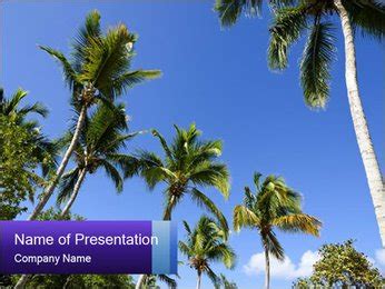 Benefits And Uses Of The Coconut Palm Tree PowerPoint Template Backgrounds Google Slides ID