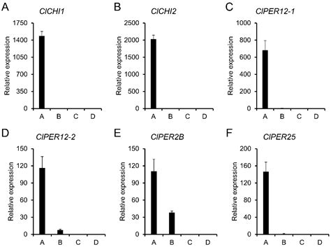 Physiological Differences And Transcriptome Analysis Reveal That High Enzyme Activity