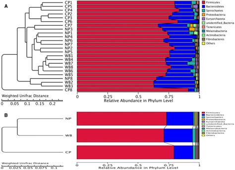 Upgma Clustering Tree Based On Weighted Unifrac Distance A Upgma
