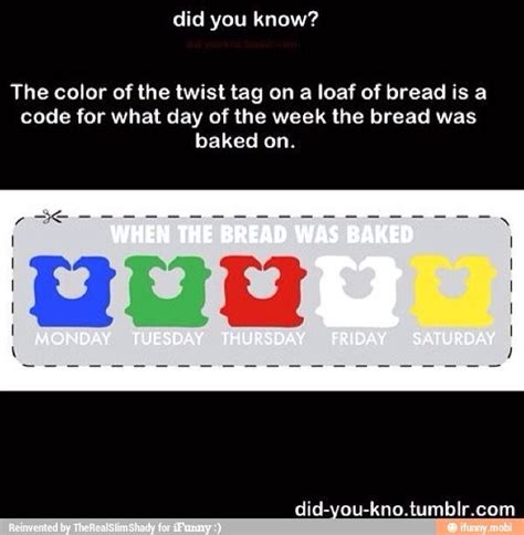 Pin By Kristen Lilja On Good To Know Coding Ifunny Did You Know