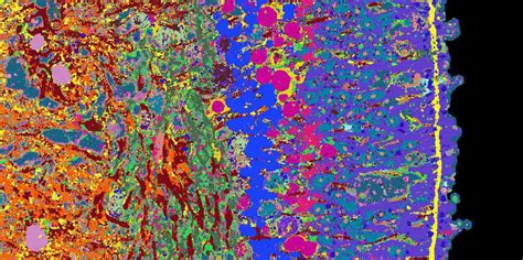 What Is Predictive Processing And How It Explains 3 Visual Illusions Thecollector