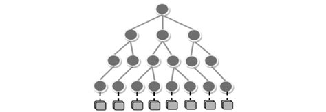 Hierarchical Tree Of Classes Taxonomy Download Scientific Diagram