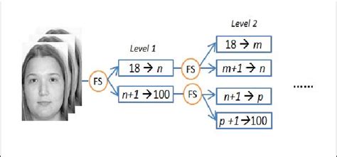 Hierarchical Subset Feature Selection Process For Estimating Age Groups