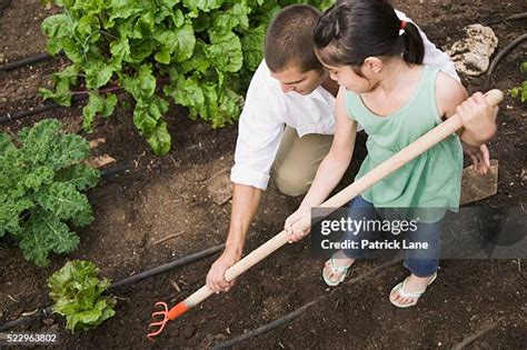 Dad Weeding Photos And Premium High Res Pictures Getty Images