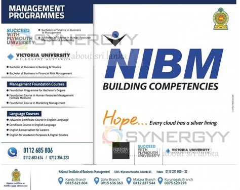 Nibm Management Degree Programme Applications Call Now Education Synergyy
