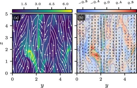 a streamlines of the polarization field py pz of a slice in the download scientific