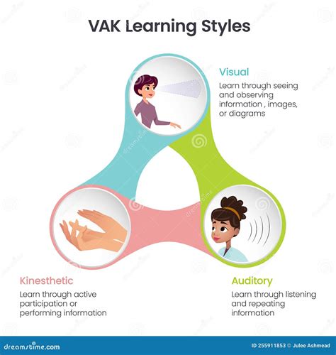 Vak Learning Styles Infographic Vector Illustration Stock Vector