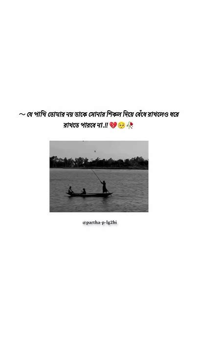 🥀 যে পাখি তোমার নয় তাকে সোনার শিকল দিয়ে বেঁধে রাখলেও ধরে রাখতে পারবে না 💔🥺🥀 Partha P Lg2bi