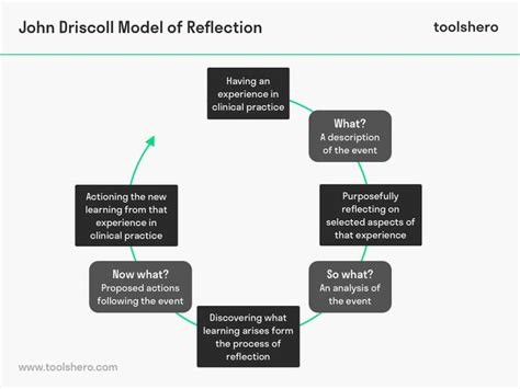 Driscoll Model Of Reflection