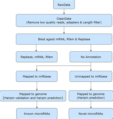 Mirna Sequencing Report