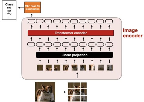 understanding multimodal llms