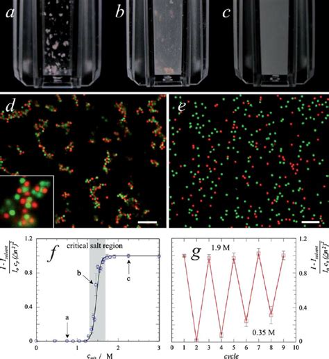 Mixtures Of Oppositely Charged Ps Particles With A Diameter Of 11 M M Download Scientific
