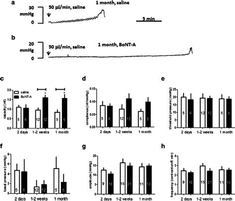 Urodynamic Function In Rats Pretreated With Saline Or Botolinium Toxin Download Scientific