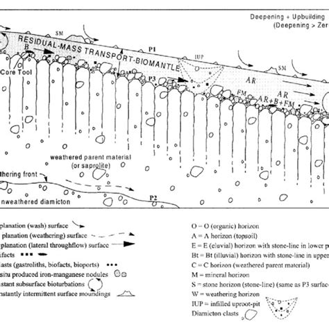 the modified whittaker multi scale sampling plot a the layout of the