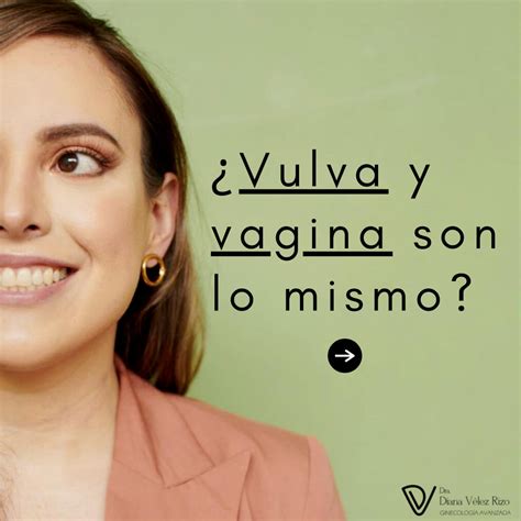 ¡conoce Tu Cuerpo 🌼 ¿sabía La Diferencia Entre Vulva Y Vagina