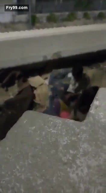 Shemale Caught Fucking Guy Thisvid Com