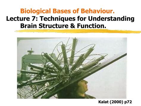Ppt Biological Bases Of Behaviour Lecture 7 Techniques For Understanding Brain Structure