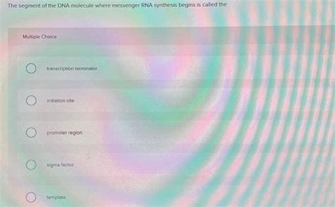 Solved The Segment Of The DNA Molecule Where Messenger RNA Chegg Com