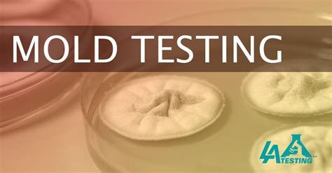 Melissa Helmick Posted On Linkedin