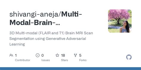 Github Shivangi Anejamulti Modal Brain Segmentation 3d Multi Modal