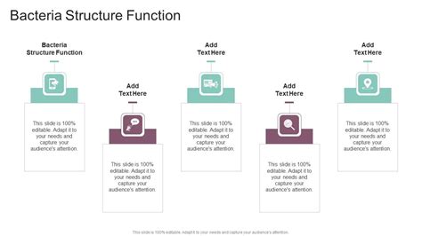 Bacteria Structure Function In Powerpoint And Google Slides Cpb PPT Slide